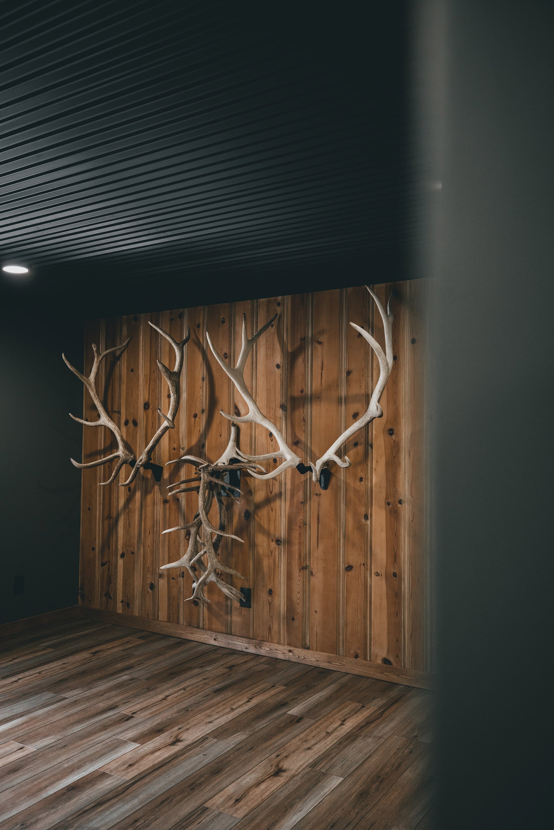 RH2 XL - DIY BIG GAME ANTLER MOUNTING SYSTEM – RACK HUB®