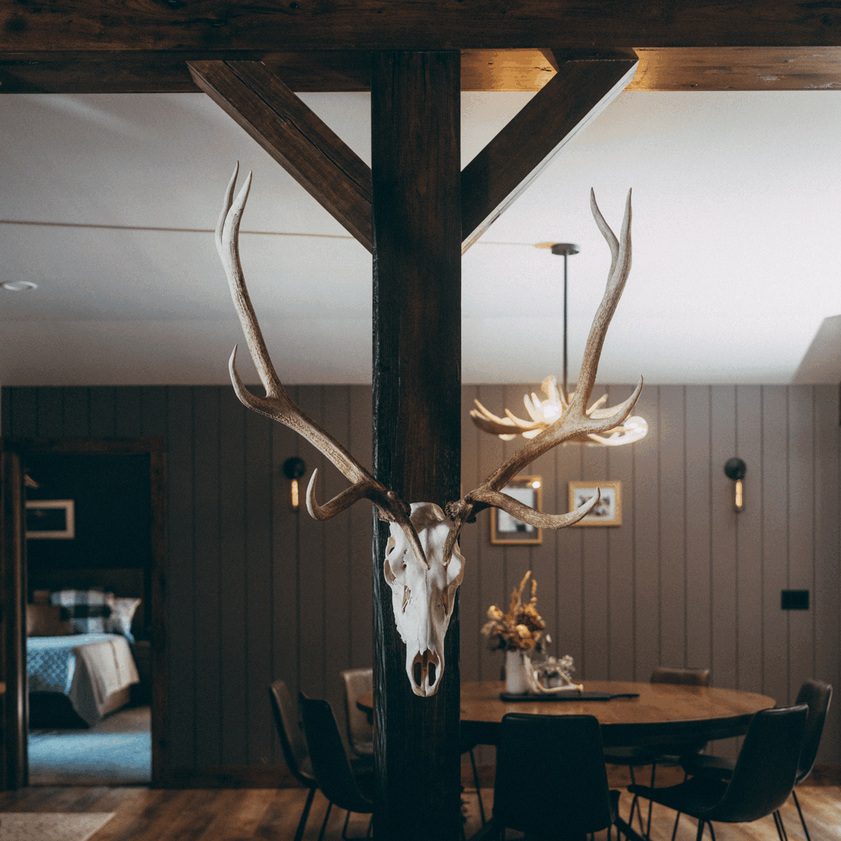 RHE XL | Euro Mount Display