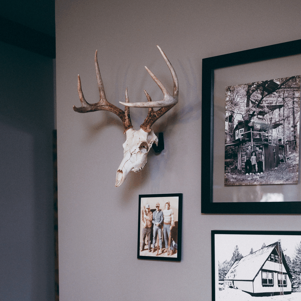 RHE | Euro Mount Display