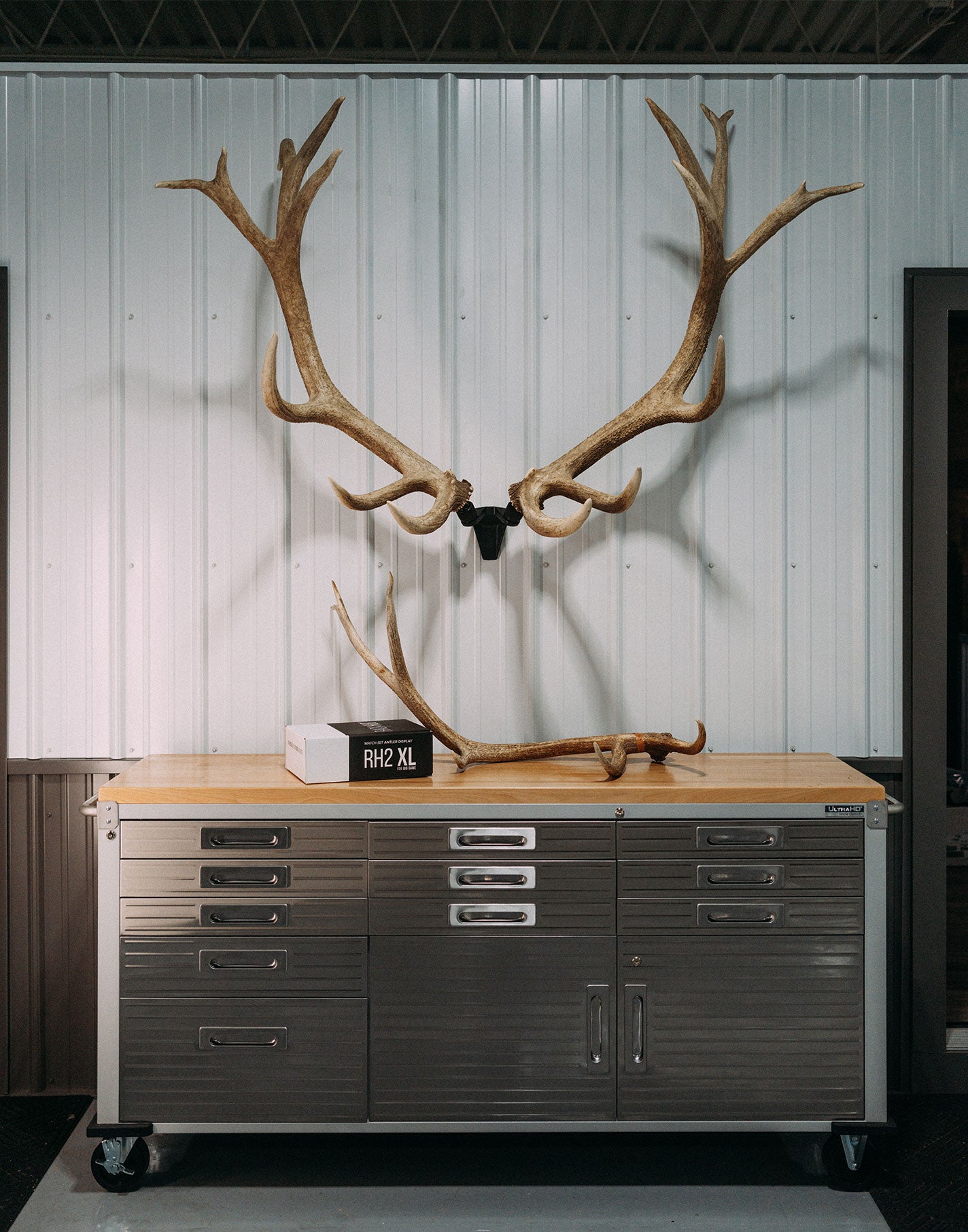 RACK HUB® Premium Antler Displays - Bring Nature Home