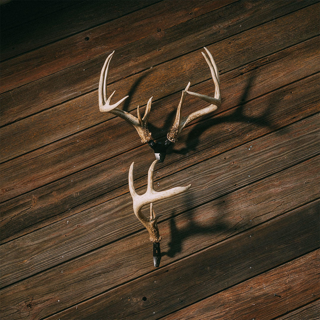 RACK HUB® Premium Antler Displays - Bring Nature Home