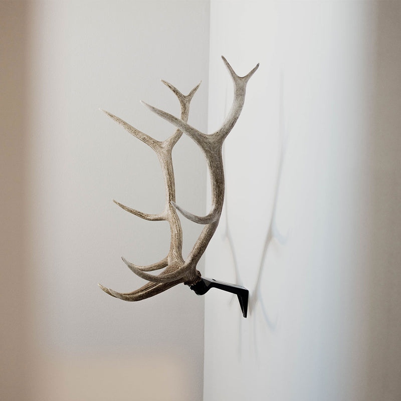 RH2 XL - DIY BIG GAME ANTLER MOUNTING SYSTEM