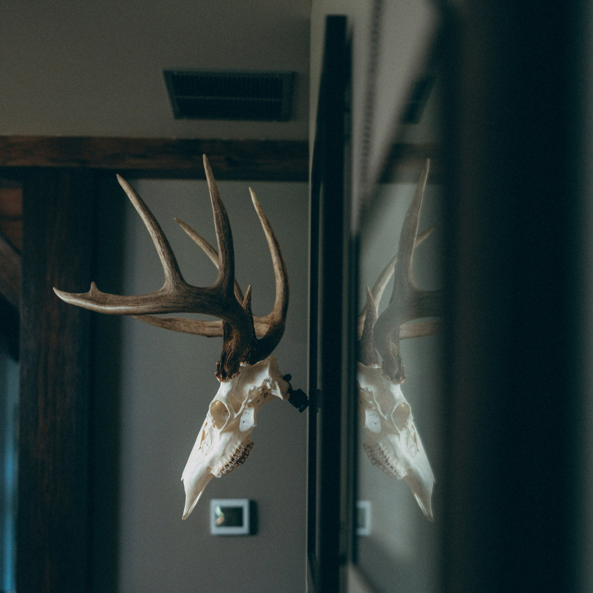 RHE | Euro Mount Display