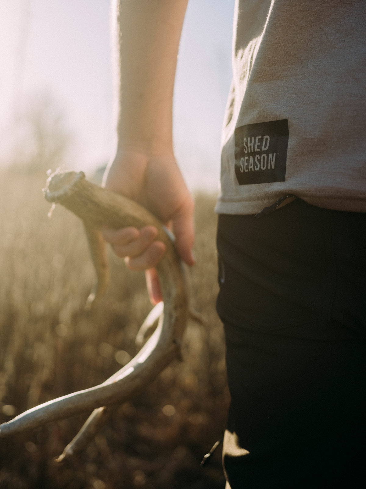 RACK HUB® Premium Antler Displays - Bring Nature Home